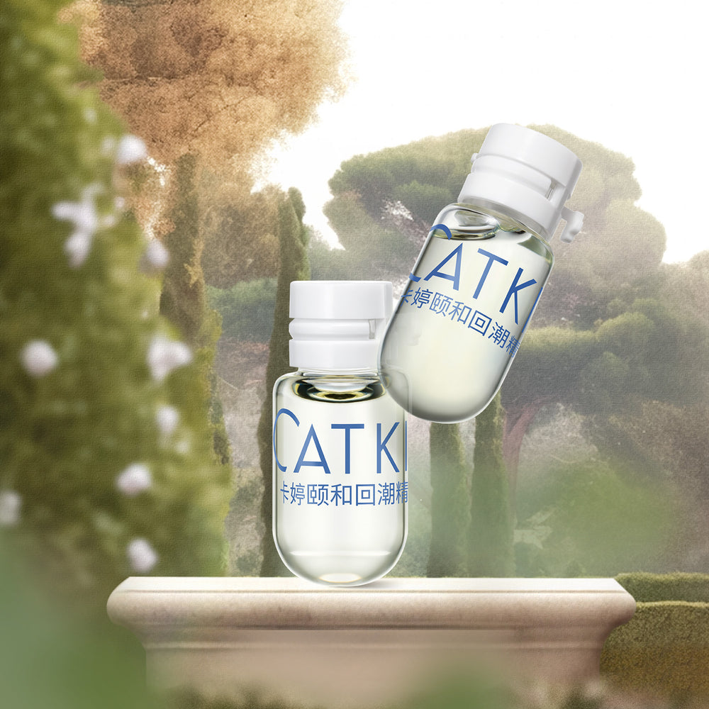 Humanistic Beauty Without Borders